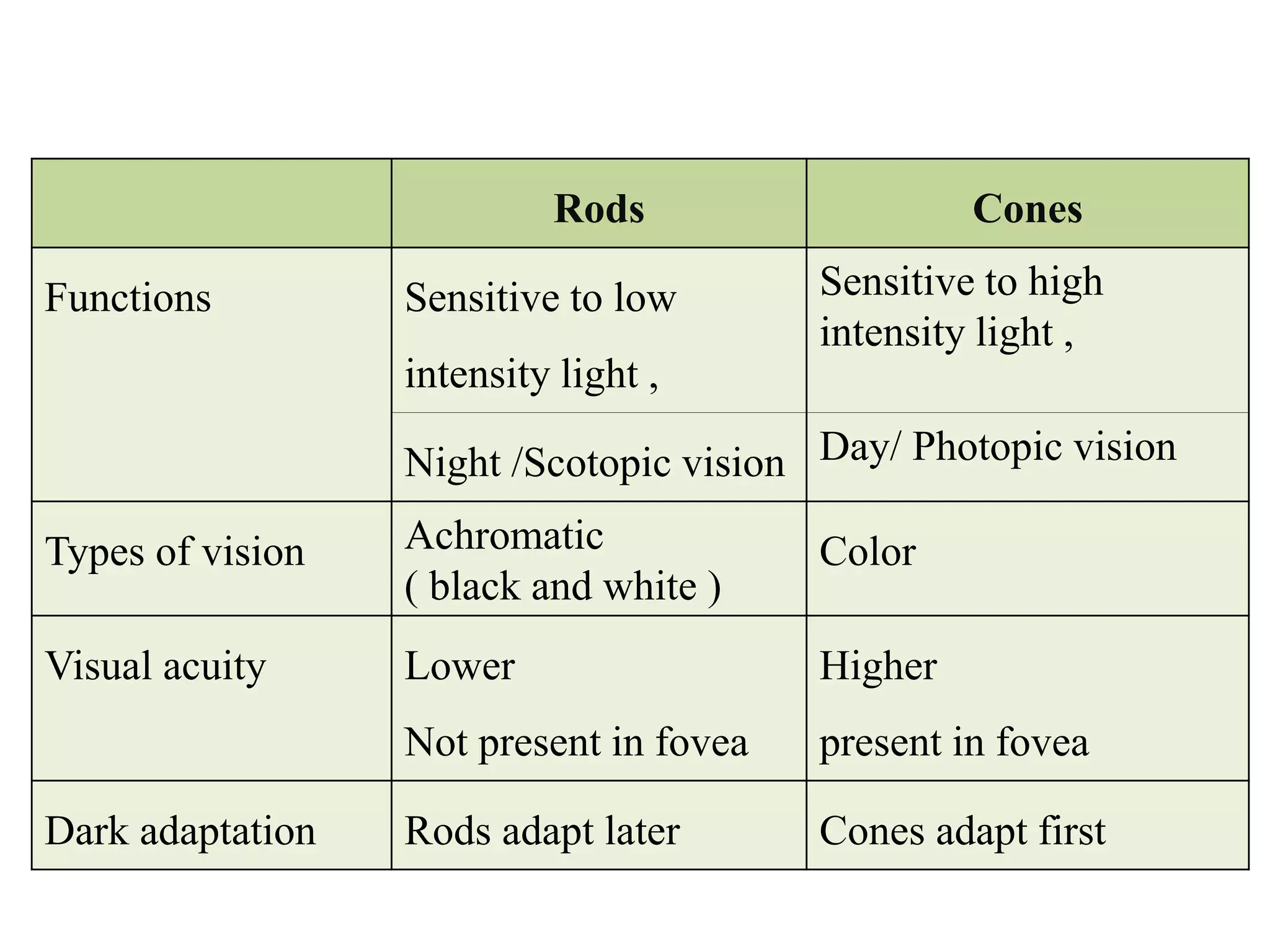 Visual transduction ppt 2021 | PPTX