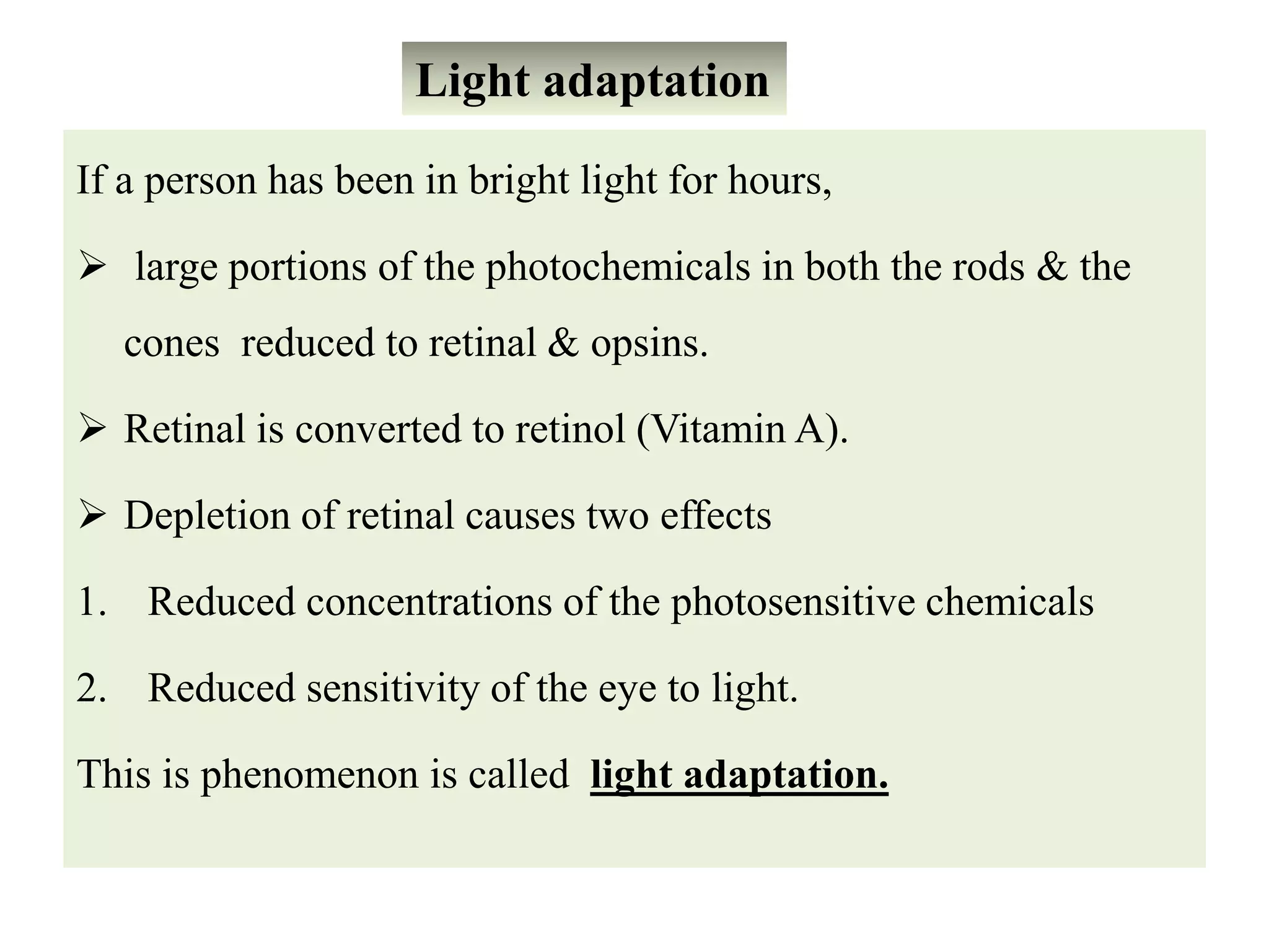 Visual transduction ppt 2021 | PPTX
