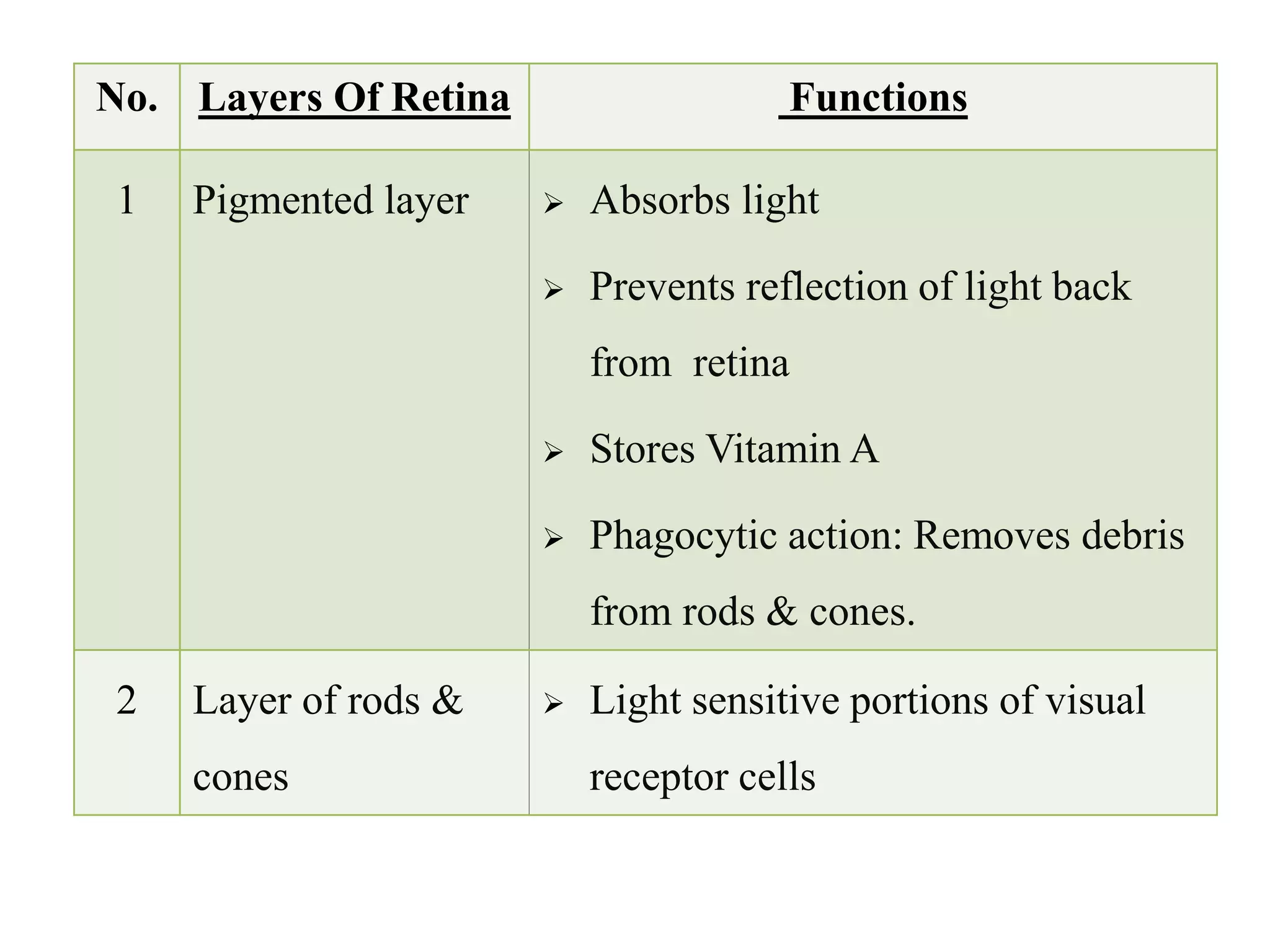Visual transduction ppt 2021 | PPTX
