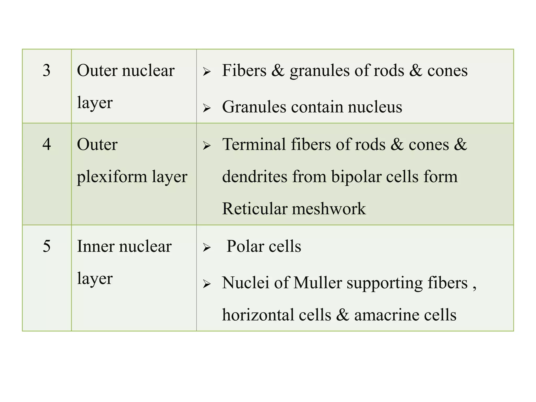 Visual transduction ppt 2021 | PPTX
