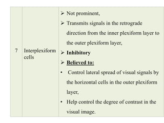 Visual transduction ppt 2021 | PPTX | Eye and Vision Conditions ...