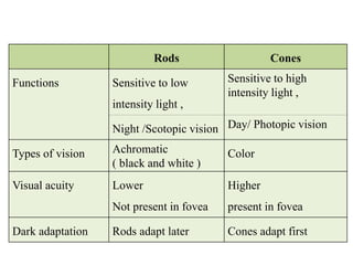 Visual transduction ppt 2021 | PPTX