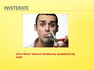 Visual vocab ppt | PPTX