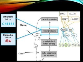 Visual Words Recognition | PPTX