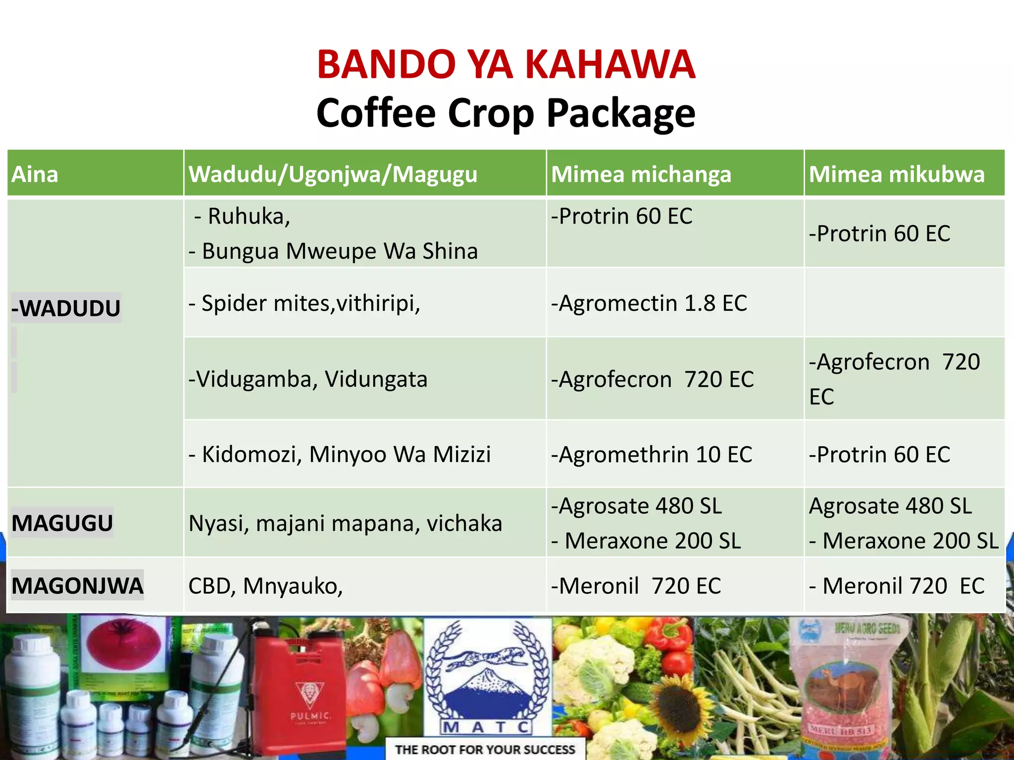 Visumbufu vya zao la kahawa presentation (wecompress.com) | PPTX