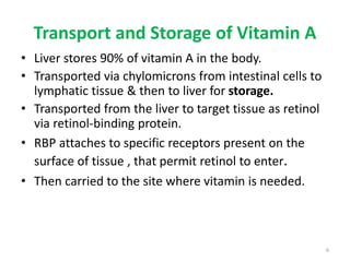 vitamin A | PPTX