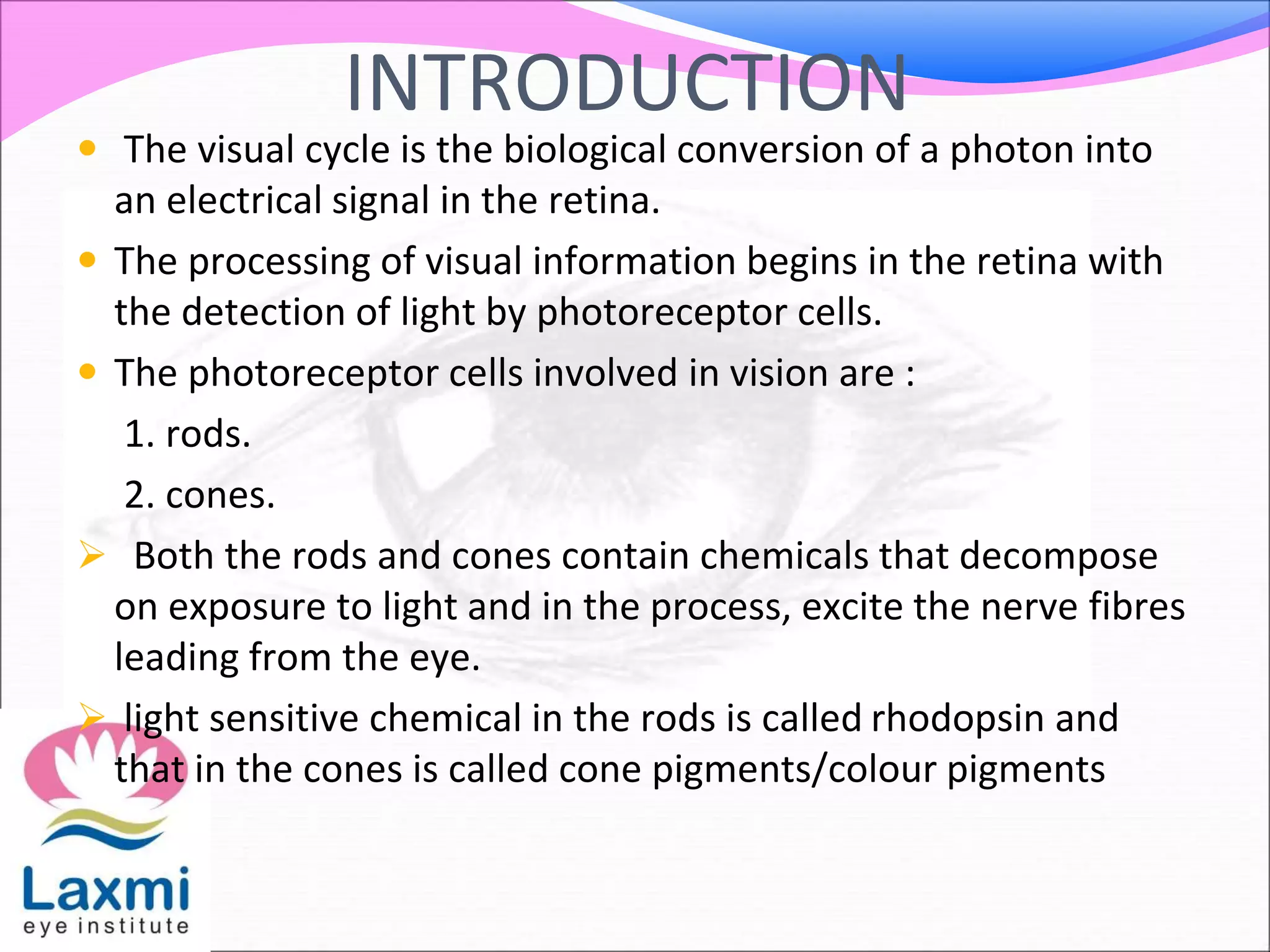VITAMIN A & VISUAL CYCLE | PPTX