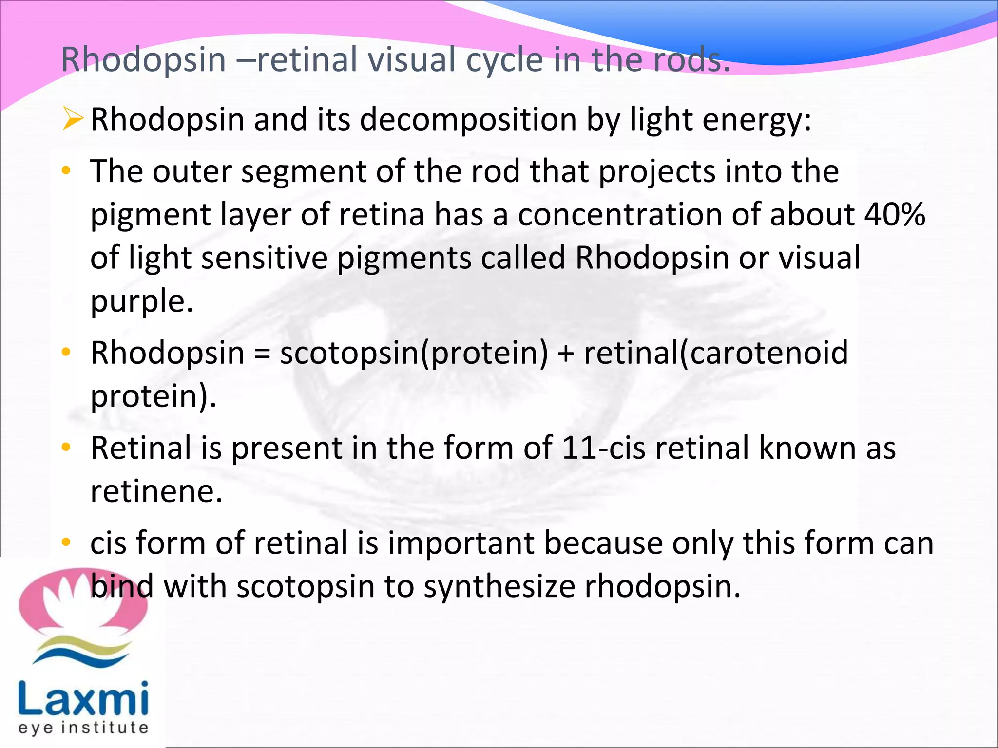 VITAMIN A & VISUAL CYCLE | PPTX