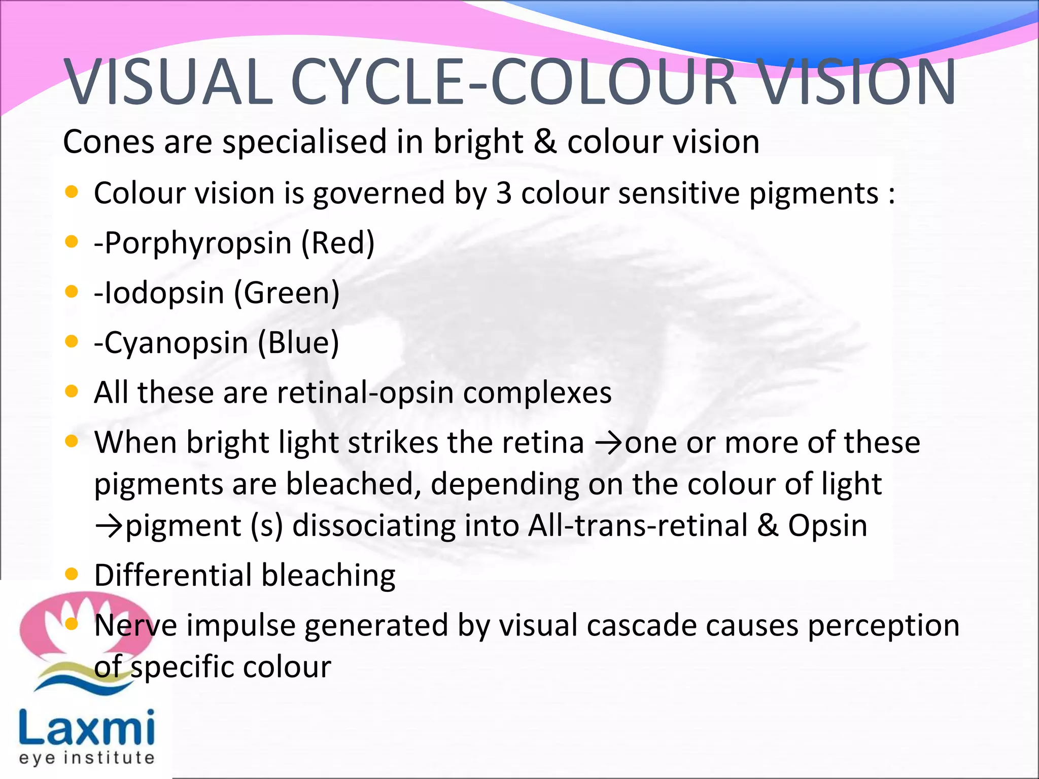 VITAMIN A & VISUAL CYCLE | PPTX