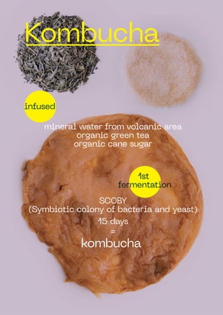 Vitae Kombucha brewery | PDF