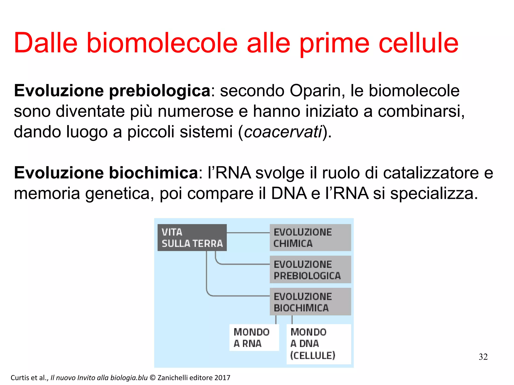 Vita e viventi_2021.pdf