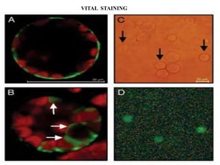 DOUBLE STAINING | PPTX