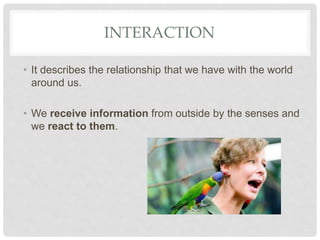 Vital functions and vertebrate animals 3rd primary | PPT