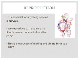 Vital functions and vertebrate animals 3rd primary | PPT