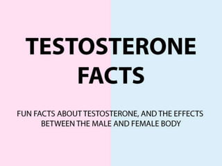 Testosterone Facts | PPT