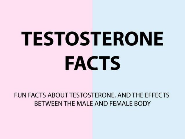 Testosterone Facts | PPT