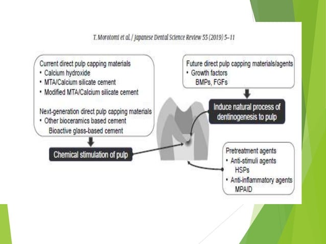 Vital pulp therapy | PPTX | Dental Health | Diseases and Conditions