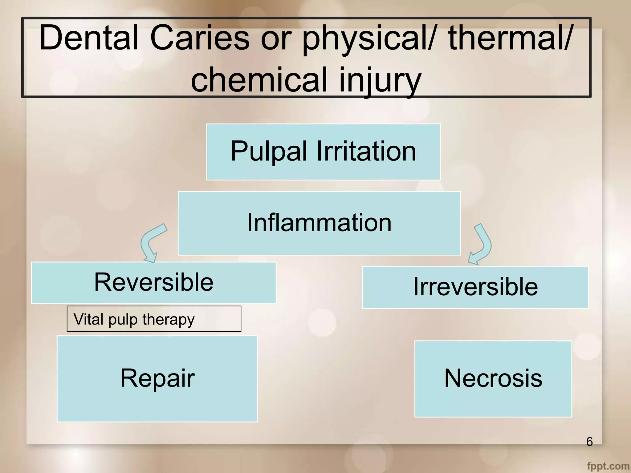 Vital Pulp Therapy | PPT