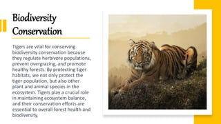 Vital role of Tigers in our Environment.pptx