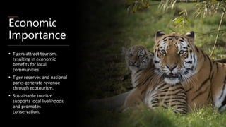 Vital role of Tigers in our Environment.pptx
