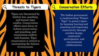 Vital role of Tigers in our Environment.pptx