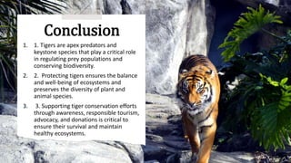 Vital role of Tigers in our Environment.pptx