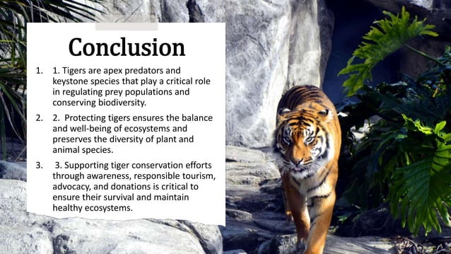Vital role of Tigers in our Environment.pptx