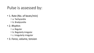 Vital sign examination | PPTX