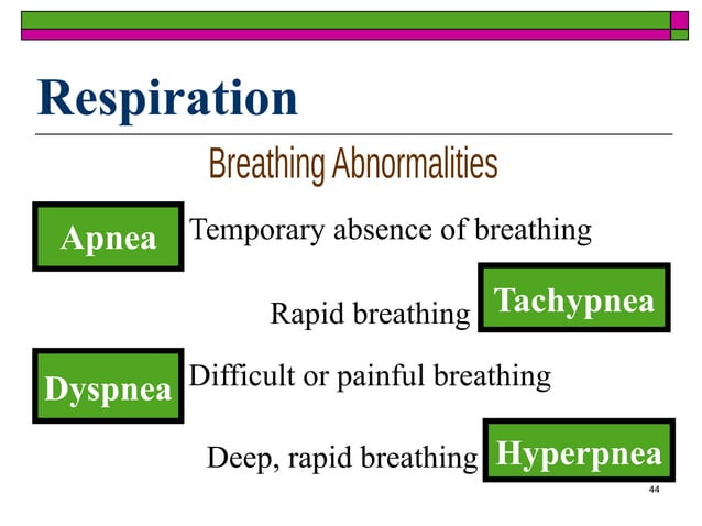 vital sign complete lecture final BSN 2024.pptx