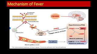 importance of Vital Signs-1. Body Temp..pptx