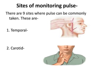 Vital signs | PPTX