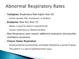 Vital Signs | PPT
