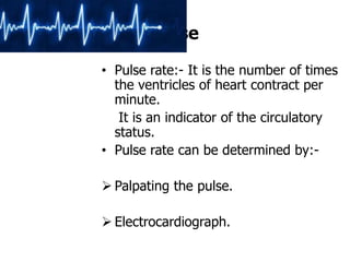 Vital Signs.ppt