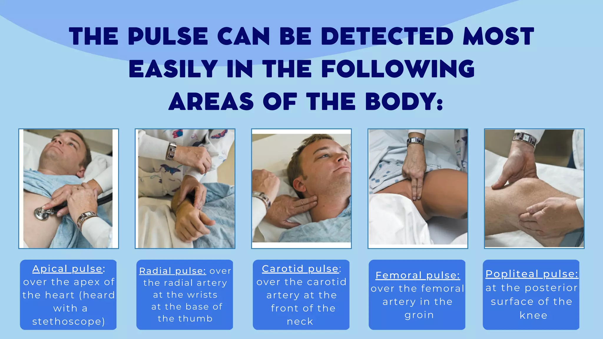 VITAL SIGNS.pdf