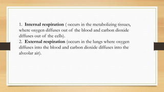 vital signs.ppt