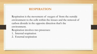 vital signs.pptx