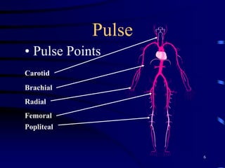 Vital Signs for Paramedics Assessment.ppt | Heart and Cardiovascular Diseases | Diseases and ...