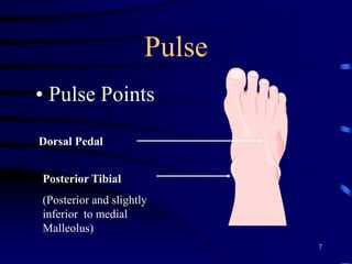 Vital Signs for Paramedics Assessment.ppt