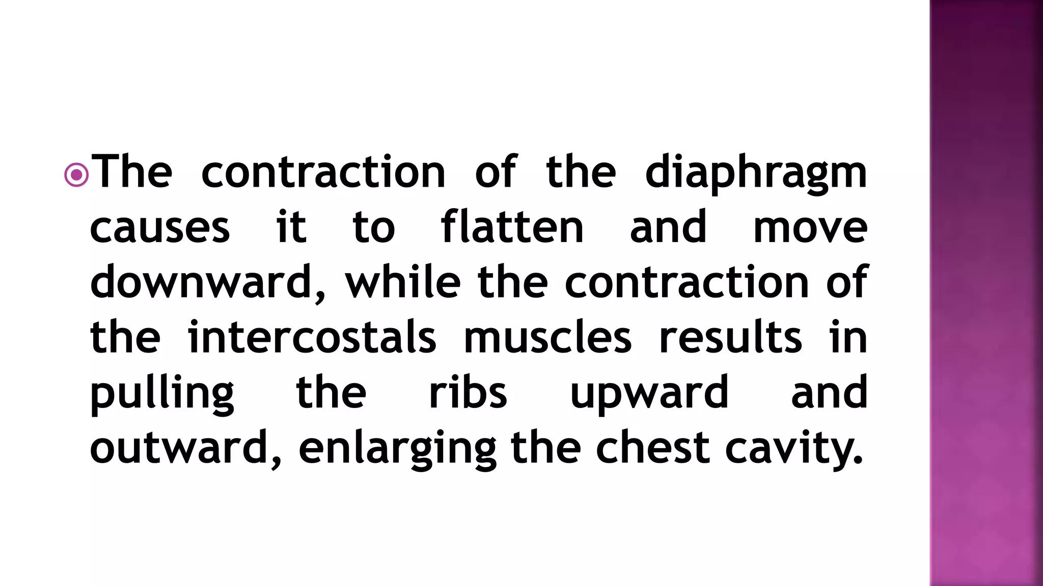Vital signs - Respiration | PPTX