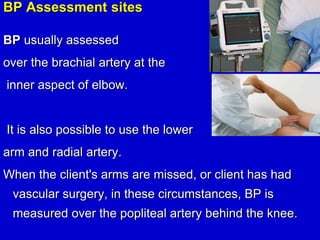 Vital signs bp and glucose testing | PPTX