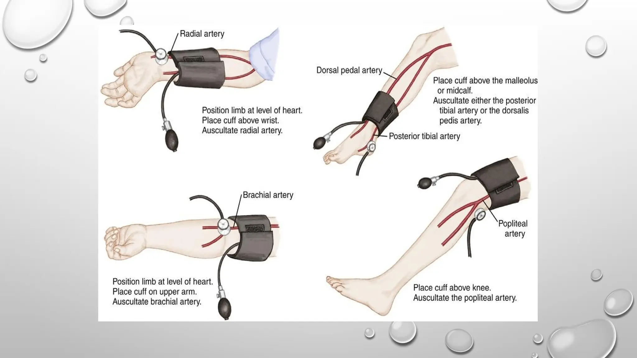 Vital Sign/Cardinal Sign Pediatric.pptxx | PPTX | Heart and ...