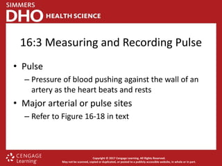 VITAL SIGNS MONITORING POWERPOINT - HEALTH SCIENCS | PPT
