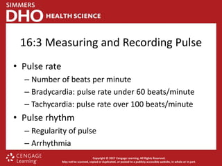 VITAL SIGNS MONITORING POWERPOINT - HEALTH SCIENCS | PPT