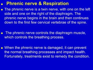Vital signs respiration | PPT