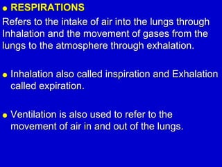 Vital signs respiration | PPT