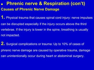Vital signs respiration | PPT