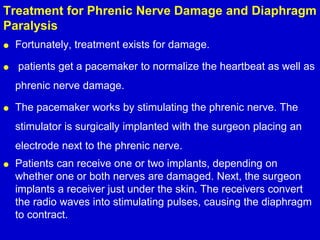 Vital signs respiration | PPT