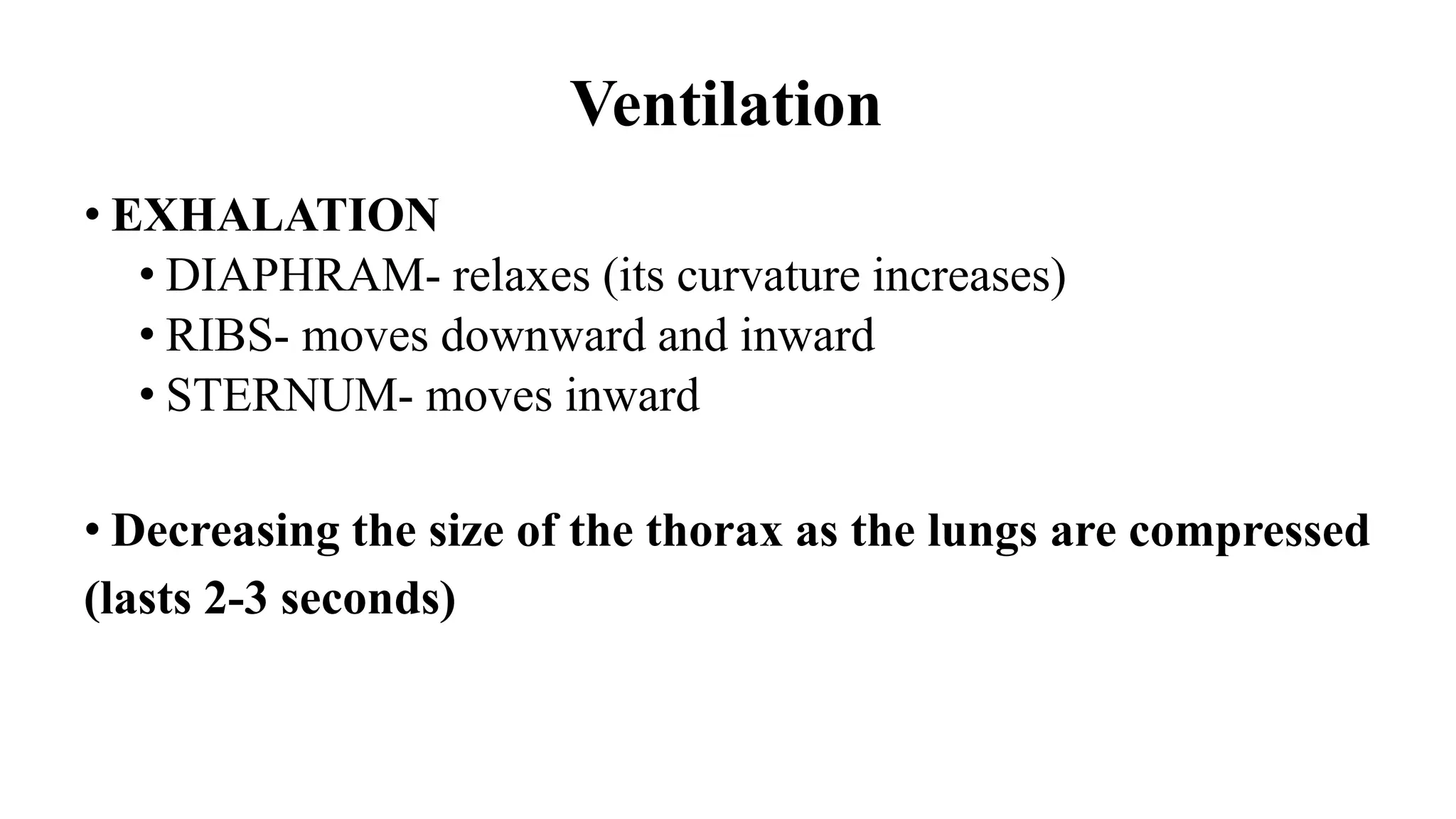 Vital Signs (Respiration).pptx | Lung and Respiratory Health | Diseases ...