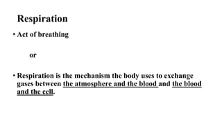 Vital Signs (Respiration).pptx