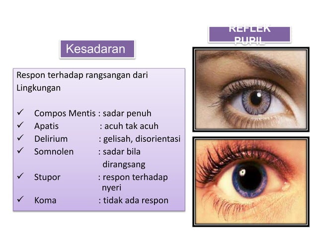 Pemeriksaan tanda-tanda vital (vital sign) | PPT